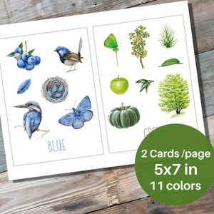 COLORS in Nature Flashcards, Color Flashcards, Vocabulary, Montessori ...