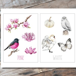 COLORS in Nature Flashcards, Color Flashcards, Vocabulary, Montessori ...