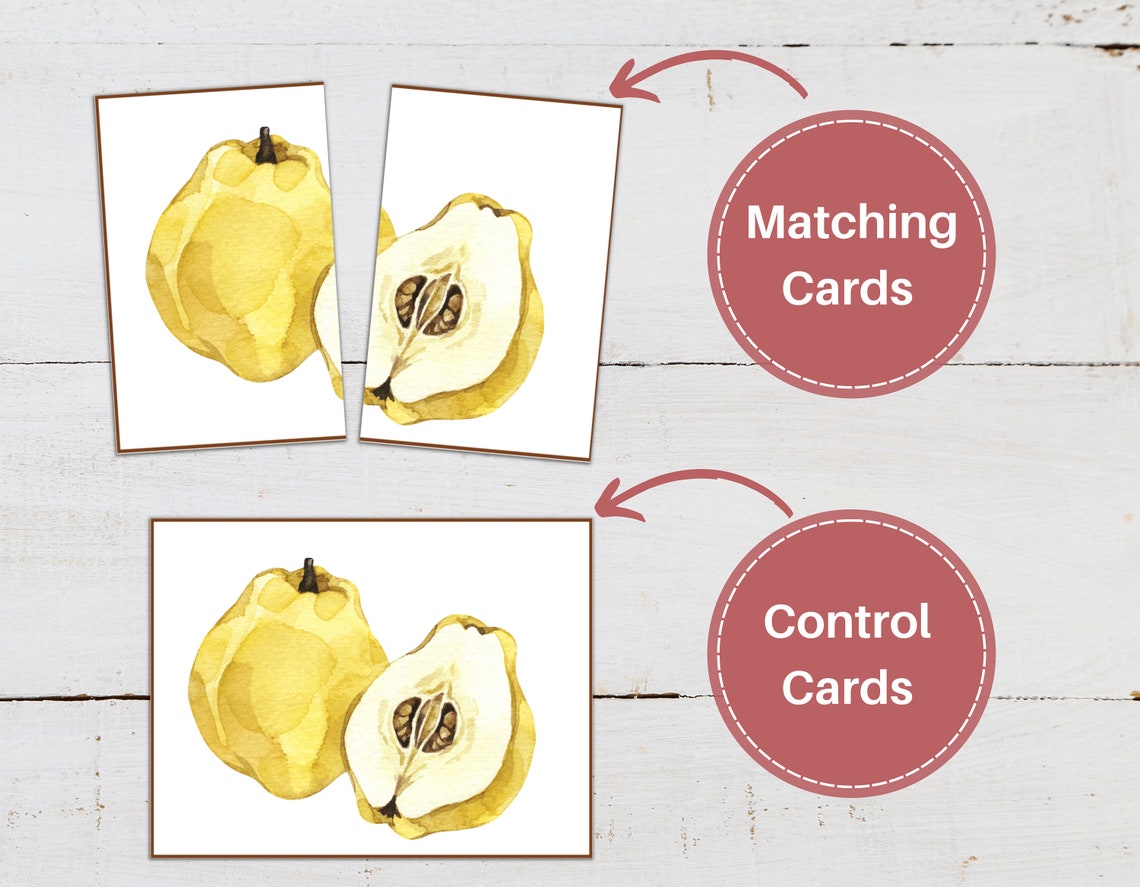 FRUIT and VEGETABLES Matching Card Game, Simple Puzzles, Toddler ...