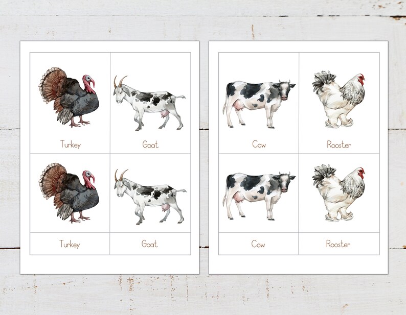 FARM ANIMALS Mini Poster + 3-part Cards, Printable, Homeschool ...