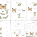 BUTTERFLY Unit Study, Life Cycle, Anatomy, Species, Nature Study ...