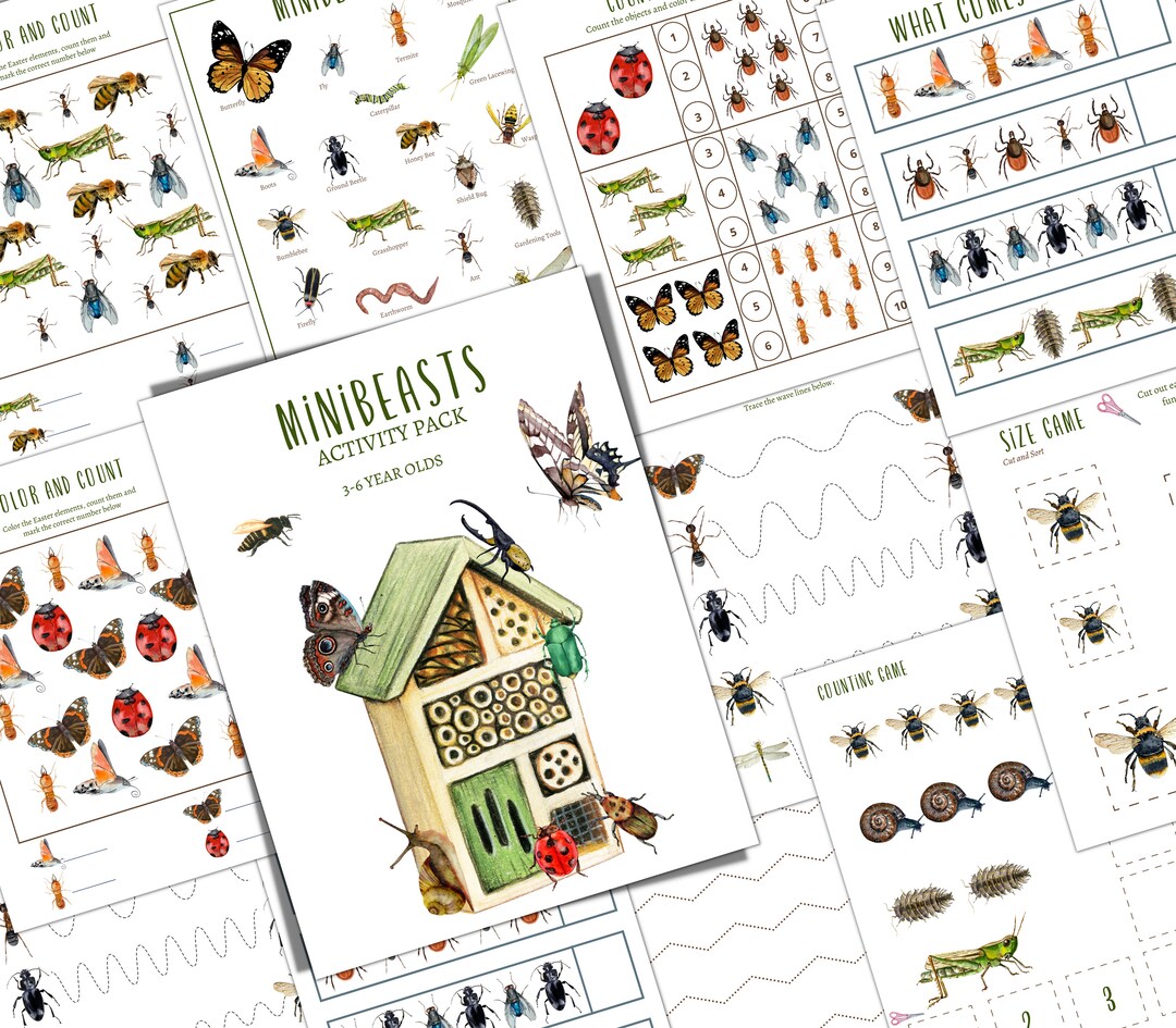 MINIBEASTS Pre-k and K Activity Pack, Homeschool, Digital, Instant ...