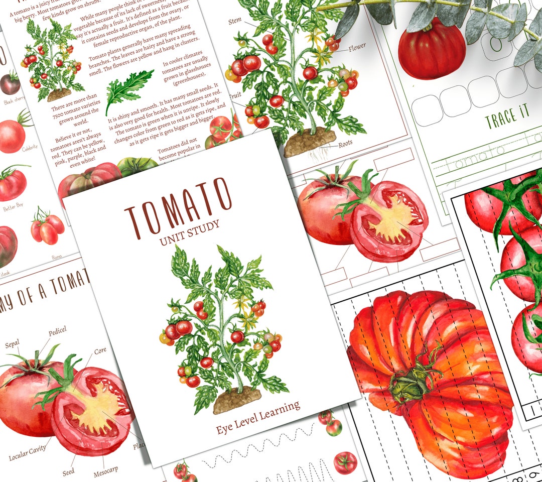 TOMATO Unit Study, Life Cycle, Anatomy, Nature Study, Science ...