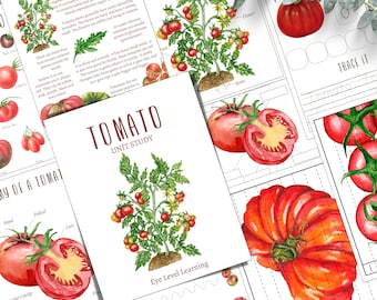 ANT, Unit Study, Life Cycle, Anatomy, Nature Study, Science, Homeschool ...