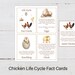CHICKEN Mini Unit Study Life Cycle Anatomy Nature Study - Etsy