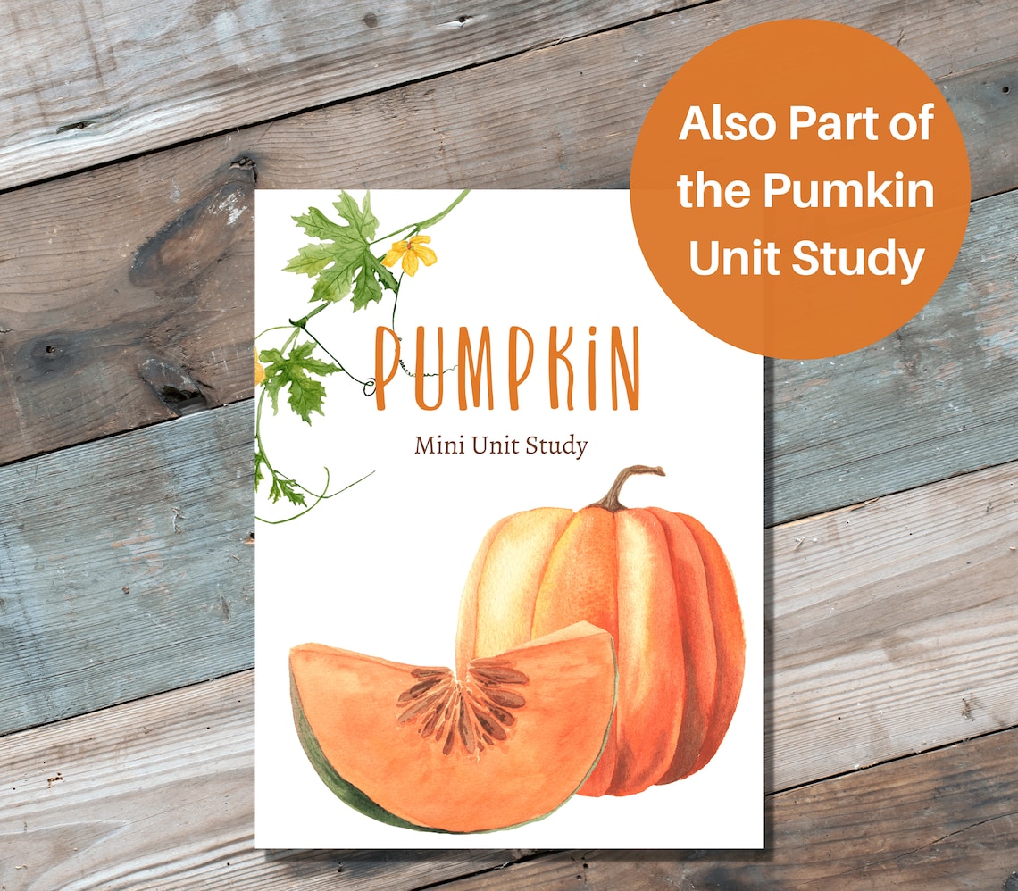 PUMPKIN Varieties Mini Poster + 3-part Cards, Homeschool, Montessori ...