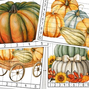 PUMPKIN Mini Unit Study, Life Cycle, Anatomy, Nature Study, Science ...