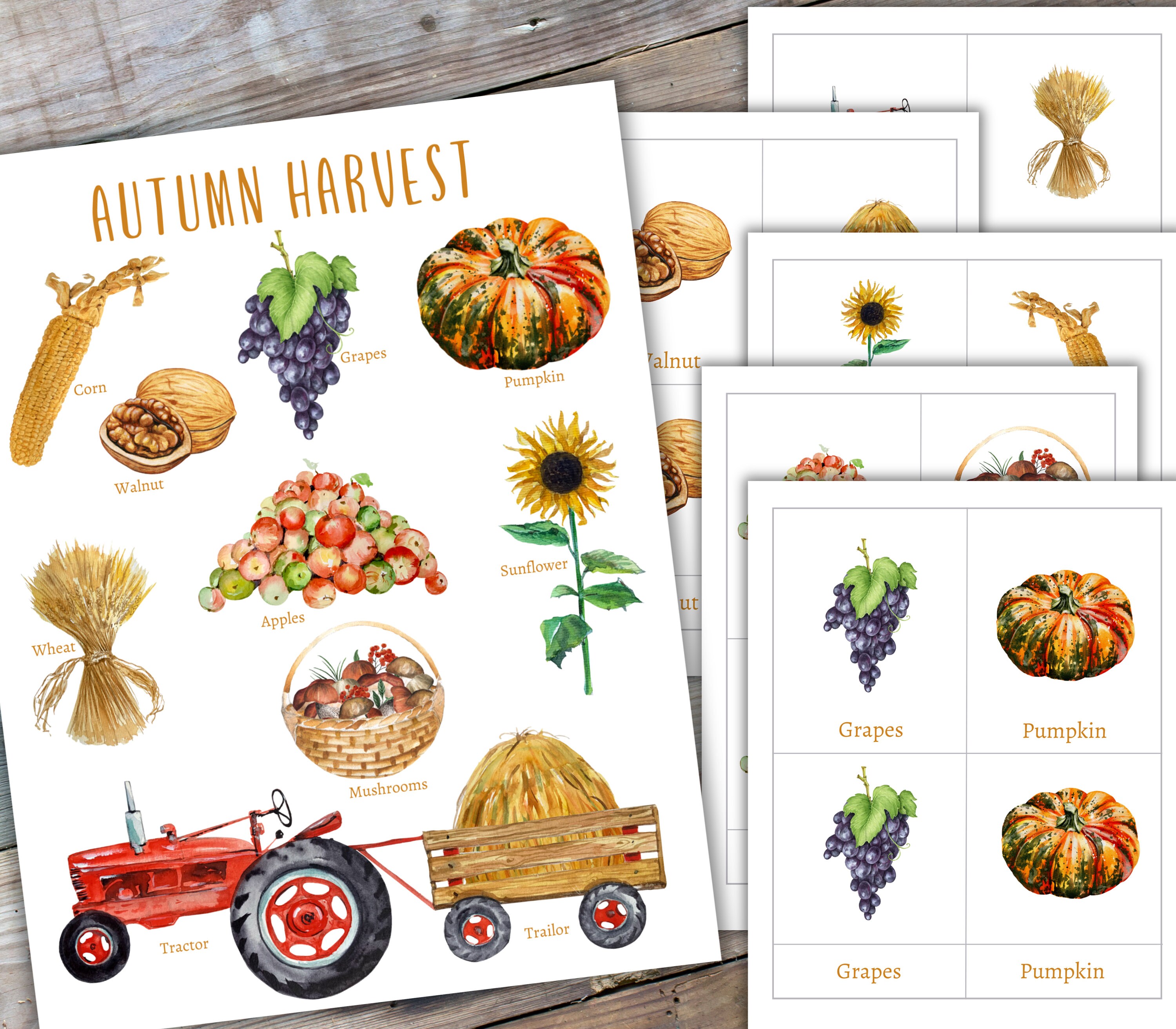 AUTUMN HARVEST Pre-k and K Activity Pack, Homeschool, Digital, Instant ...