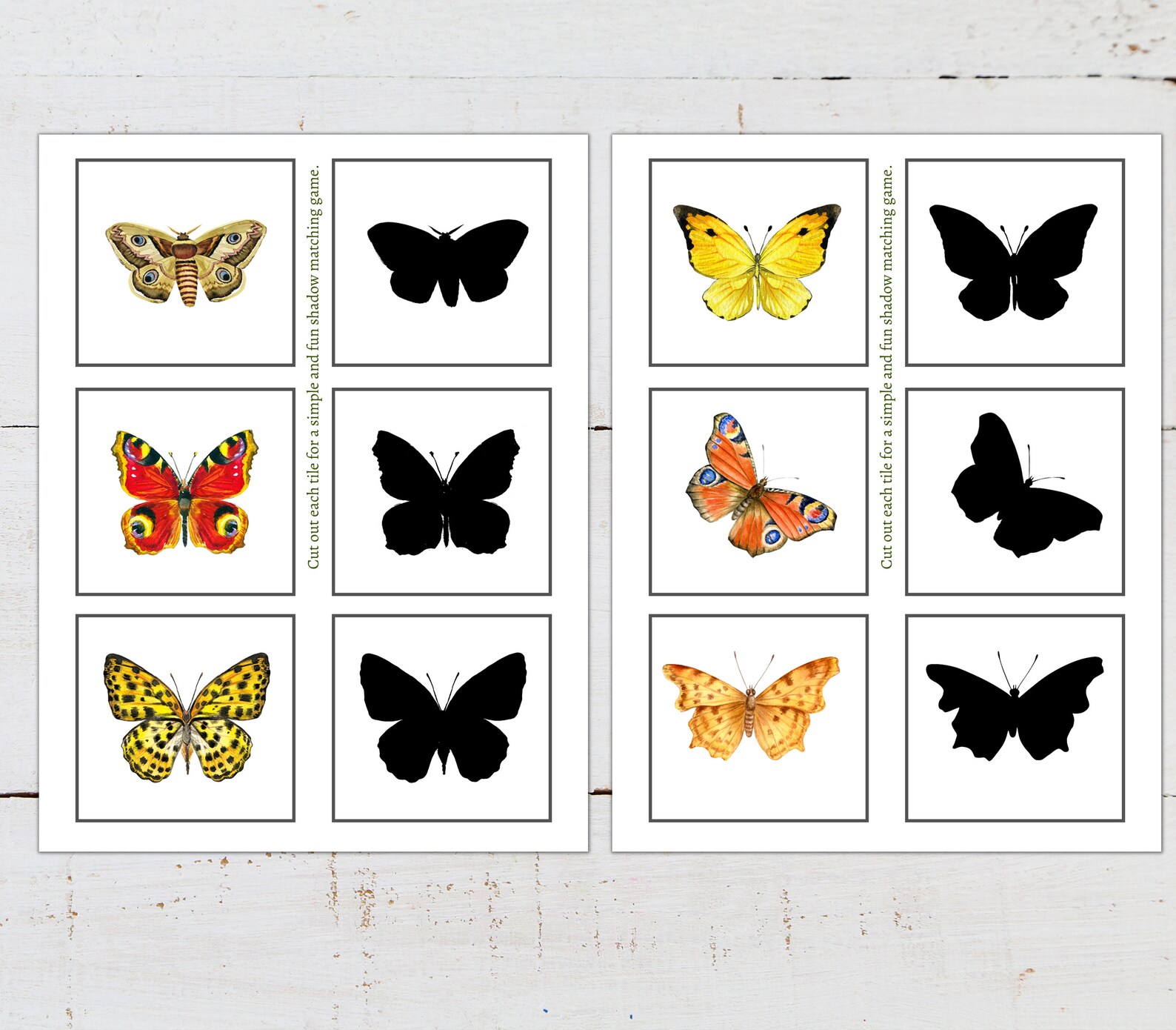 BUTTERFLY Shadow Matching, Silhouette Matching, Montessori at Home ...