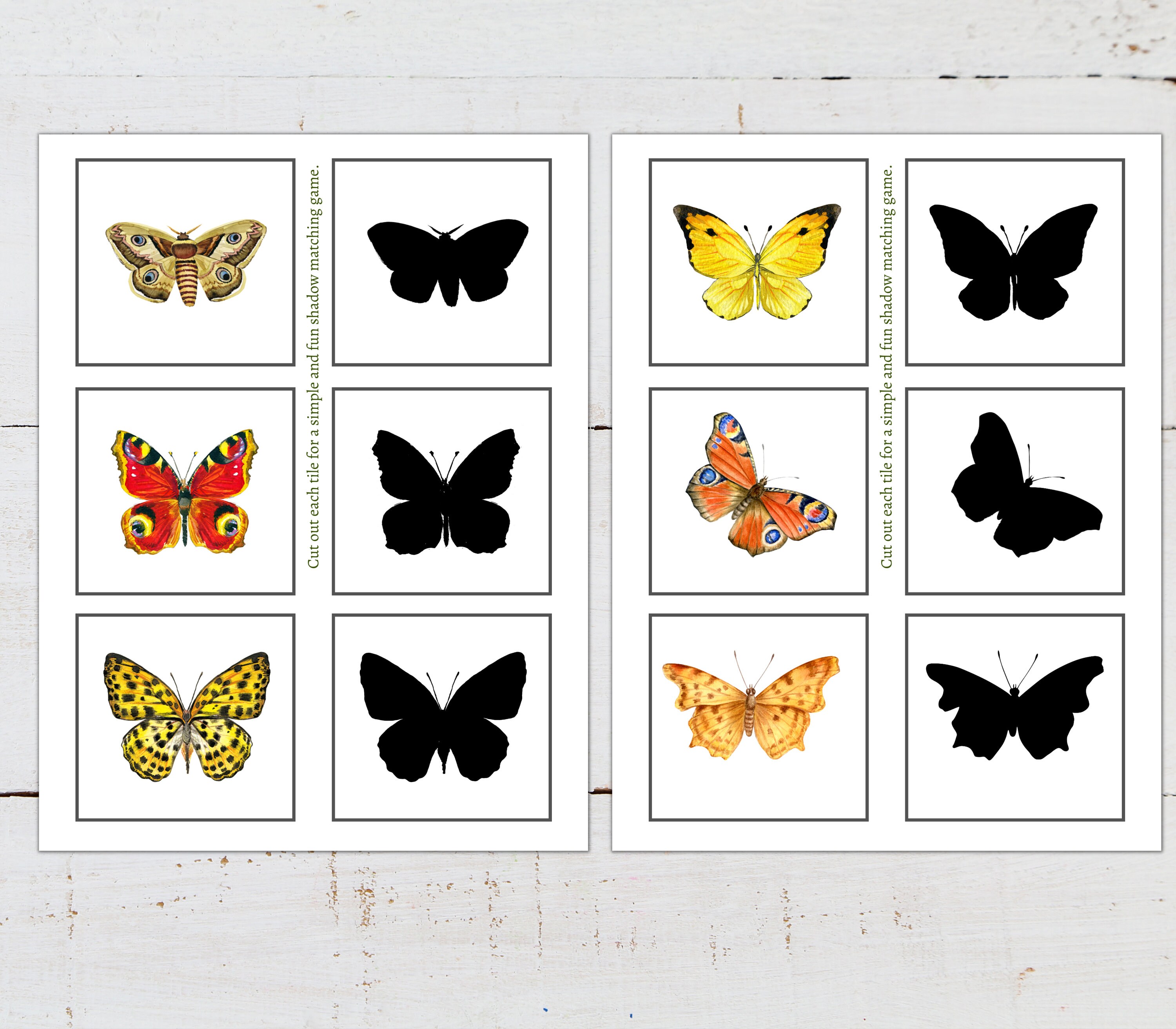 BUTTERFLY Shadow Matching, Silhouette Matching, Montessori at Home ...