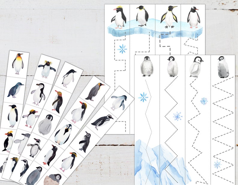 PENGUINS Unit Study Life Cycle Anatomy Nature Study - Etsy