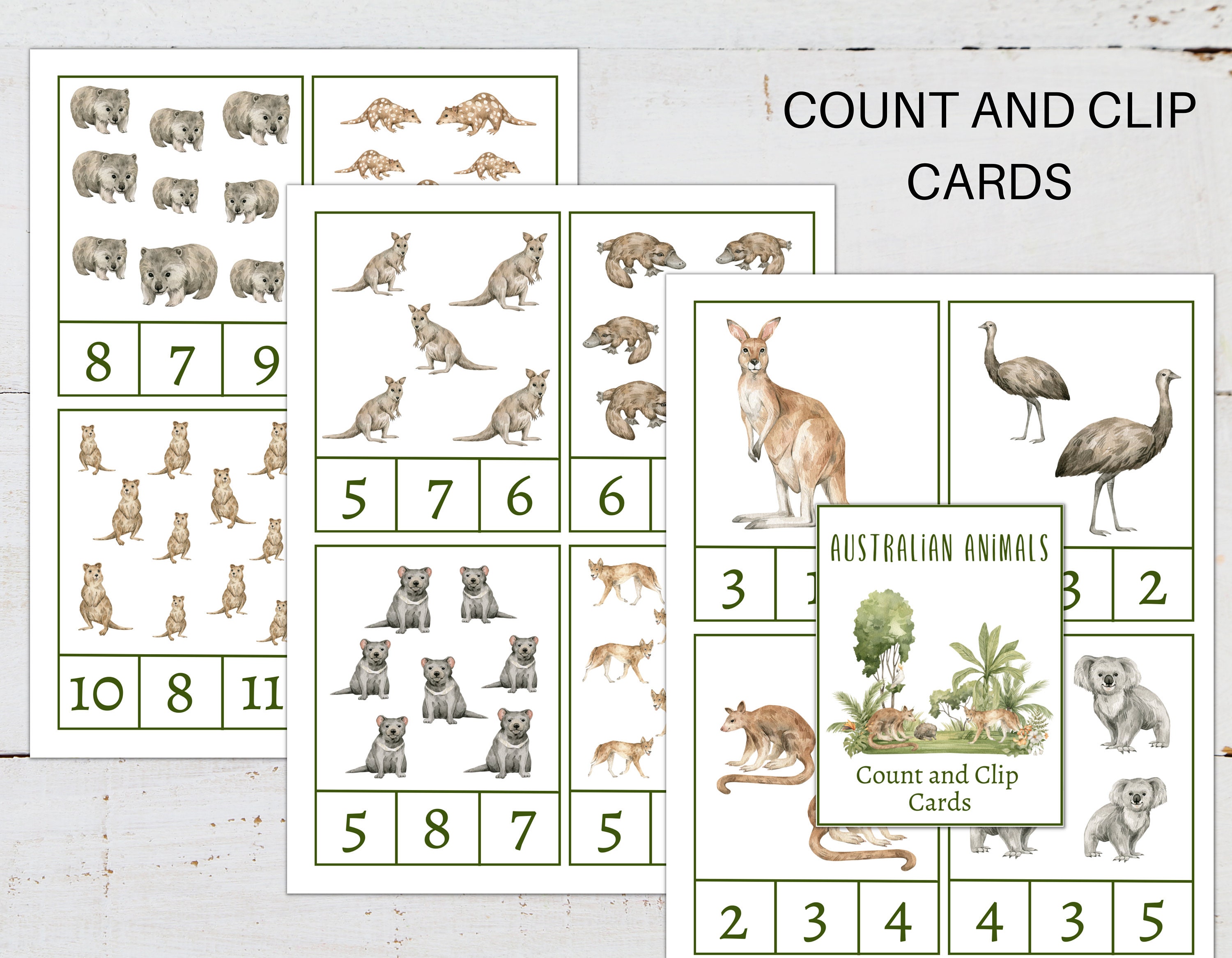 AUSTRALIAN Animals Pre-k and K Activity Pack Homeschool - Etsy