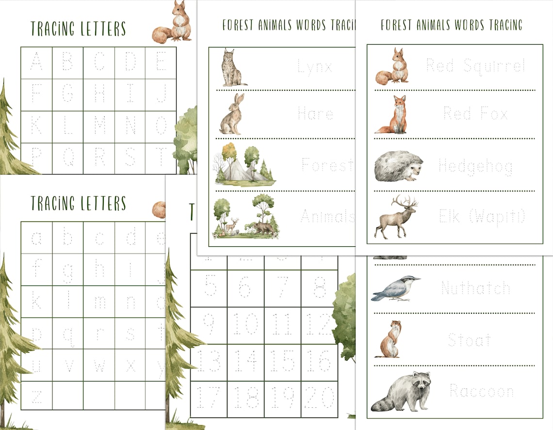 FOREST Animals Pre-k and K Activity Pack, Homeschool, Digital, INSTANT ...