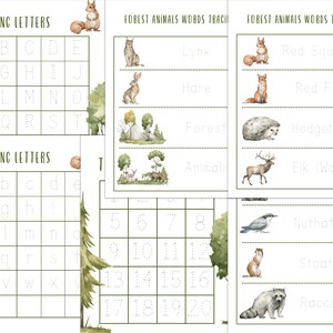 FOREST Animals Pre-k and K Activity Pack, Homeschool, Digital, INSTANT ...