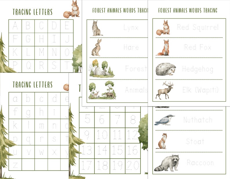 FOREST Animals Pre-k and K Activity Pack Homeschool Digital - Etsy