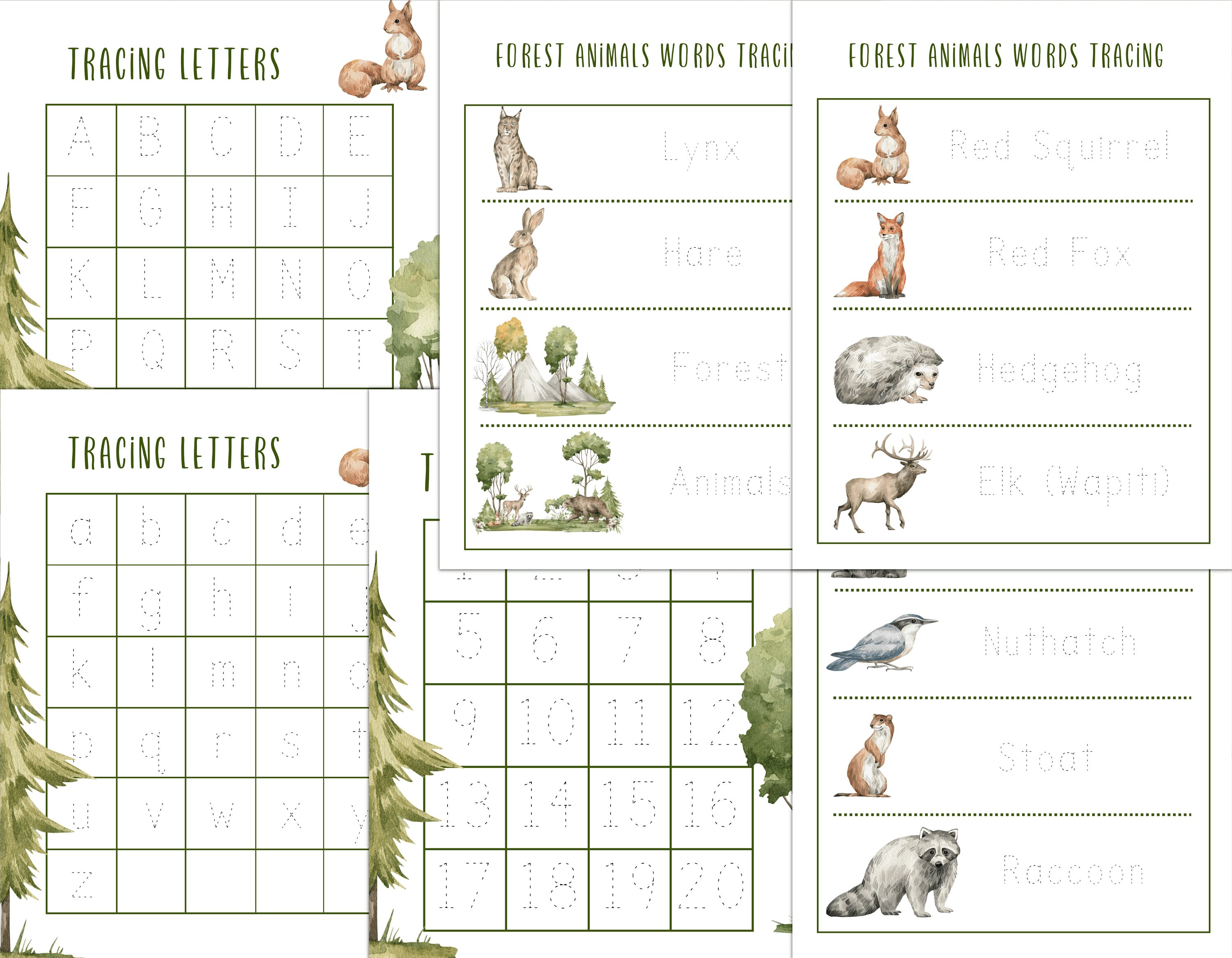 FOREST Animals Pre-k and K Activity Pack, Homeschool, Digital, INSTANT ...