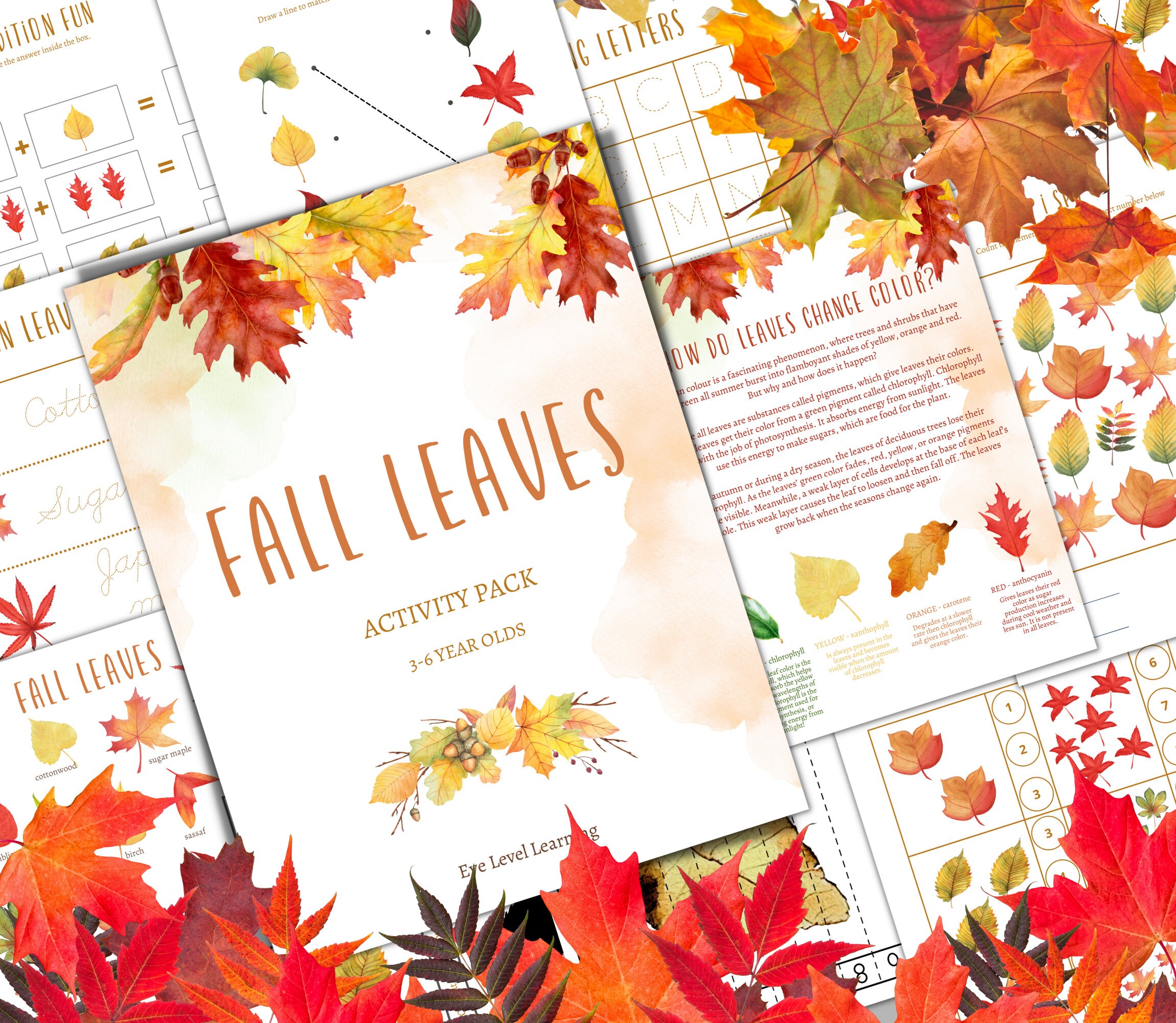 AUTUMN BUNDLE, 4 Activity Packs Available Separately, Pre-k ...
