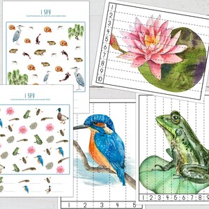 POND LIFE Unit Study, Life Cycle, Anatomy, Nature Study, Science ...