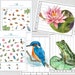 POND LIFE Unit Study, Life Cycle, Anatomy, Nature Study, Science ...