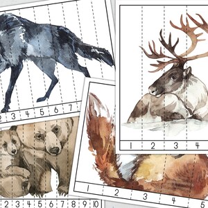 WINTER ANIMALS Unit Study, Life Cycle, Anatomy, Nature Study, Science ...