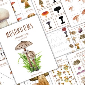 AUTUMN BUNDLE, 4 Activity Packs Available Separately, Pre-k ...