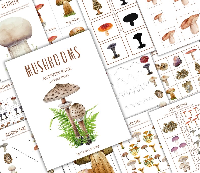 AUTUMN BUNDLE, 4 Activity Packs Available Separately, Pre-k ...