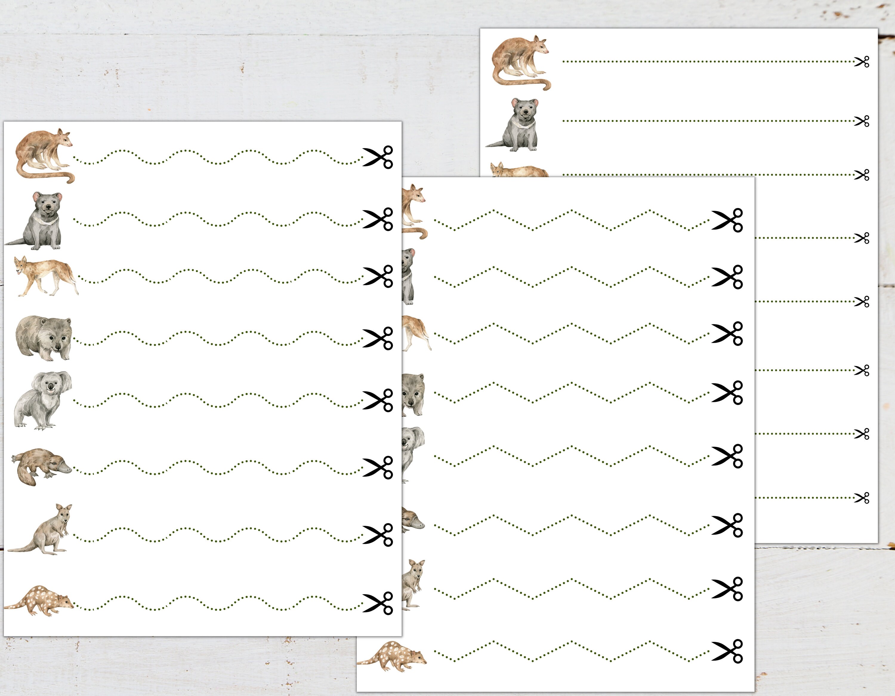 AUSTRALIAN Animals Pre-k and K Activity Pack Homeschool - Etsy