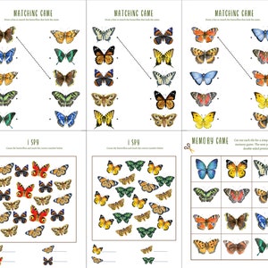 BUTTERFLY Pre-k and K Activity Pack, Homeschool, Digital, Instant ...