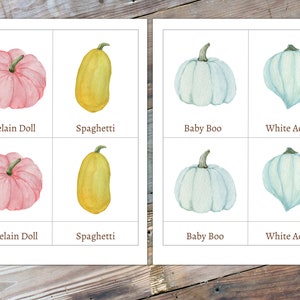 PUMPKIN Varieties Mini Poster + 3-part Cards, Homeschool, Montessori ...