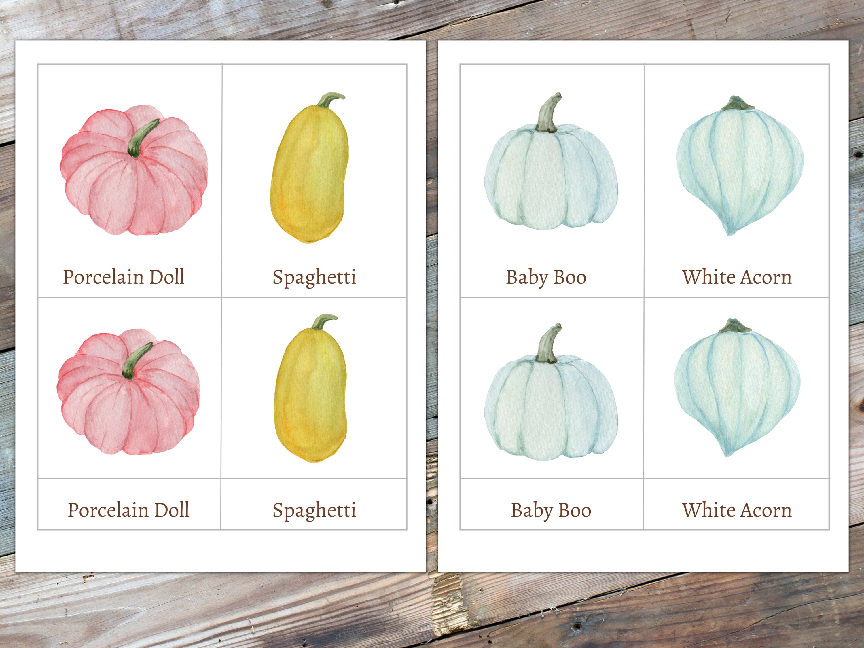 PUMPKIN Varieties Mini Poster + 3-part Cards, Homeschool, Montessori ...