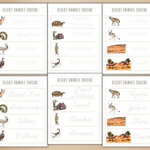DESERT Animals Pre-k and K Activity Pack, Homeschool, Digital, INSTANT ...