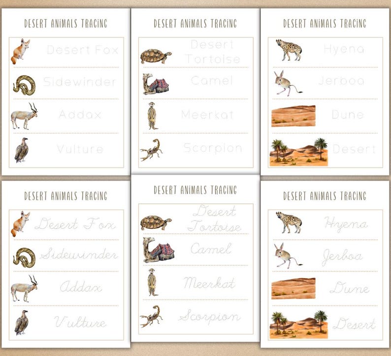 DESERT Animals Pre-k and K Activity Pack, Homeschool, Digital, INSTANT ...