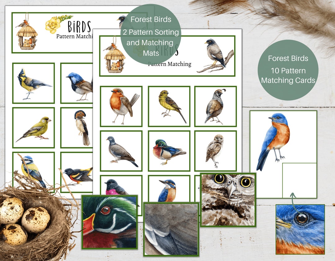 BIRD Pattern Matching Mat and Cards, Montessori, Nature Study Cards ...