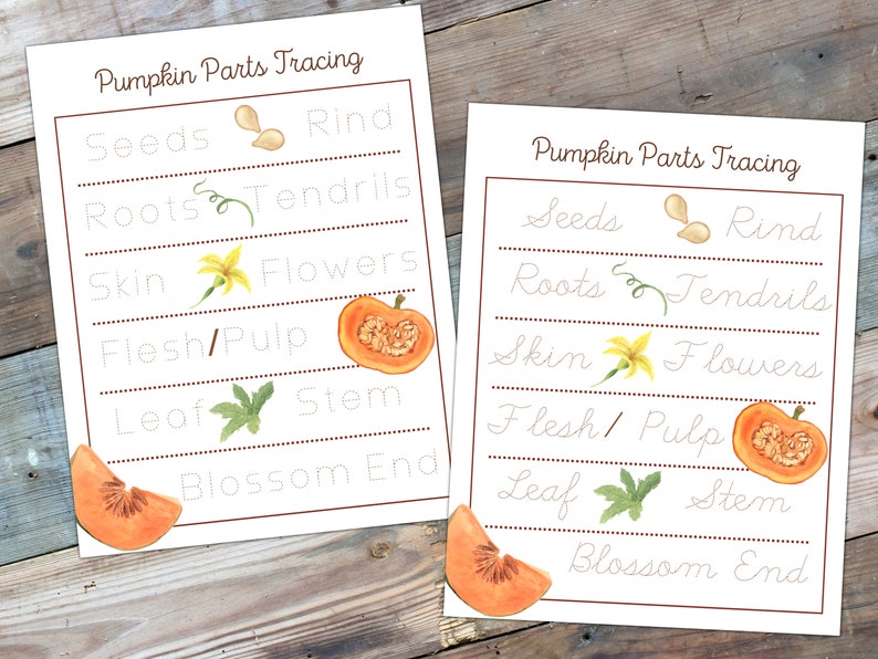 PUMPKIN Anatomy Poster, Labeling and Tracing Activity, Homeschool ...