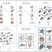 OCEAN Animals Pre-k and K Activity Pack, Homeschool, Digital, INSTANT ...