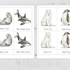 POLAR ANIMALS Mini Poster + 3-part Cards, Arctic and Antarctic Animals ...