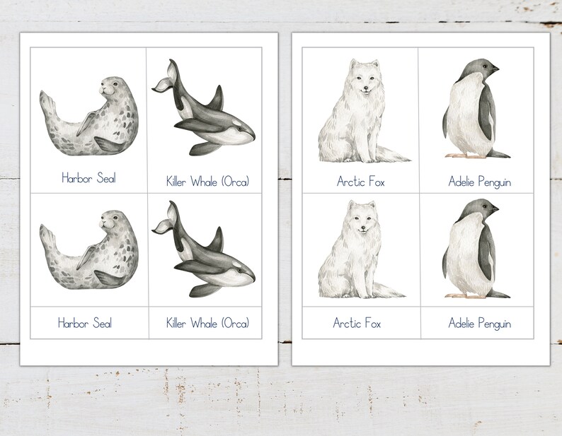 POLAR ANIMALS Mini Poster 3-part Cards Arctic and Antarctic - Etsy
