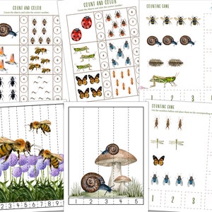 MINIBEASTS Pre-k and K Activity Pack, Homeschool, Digital, Instant ...