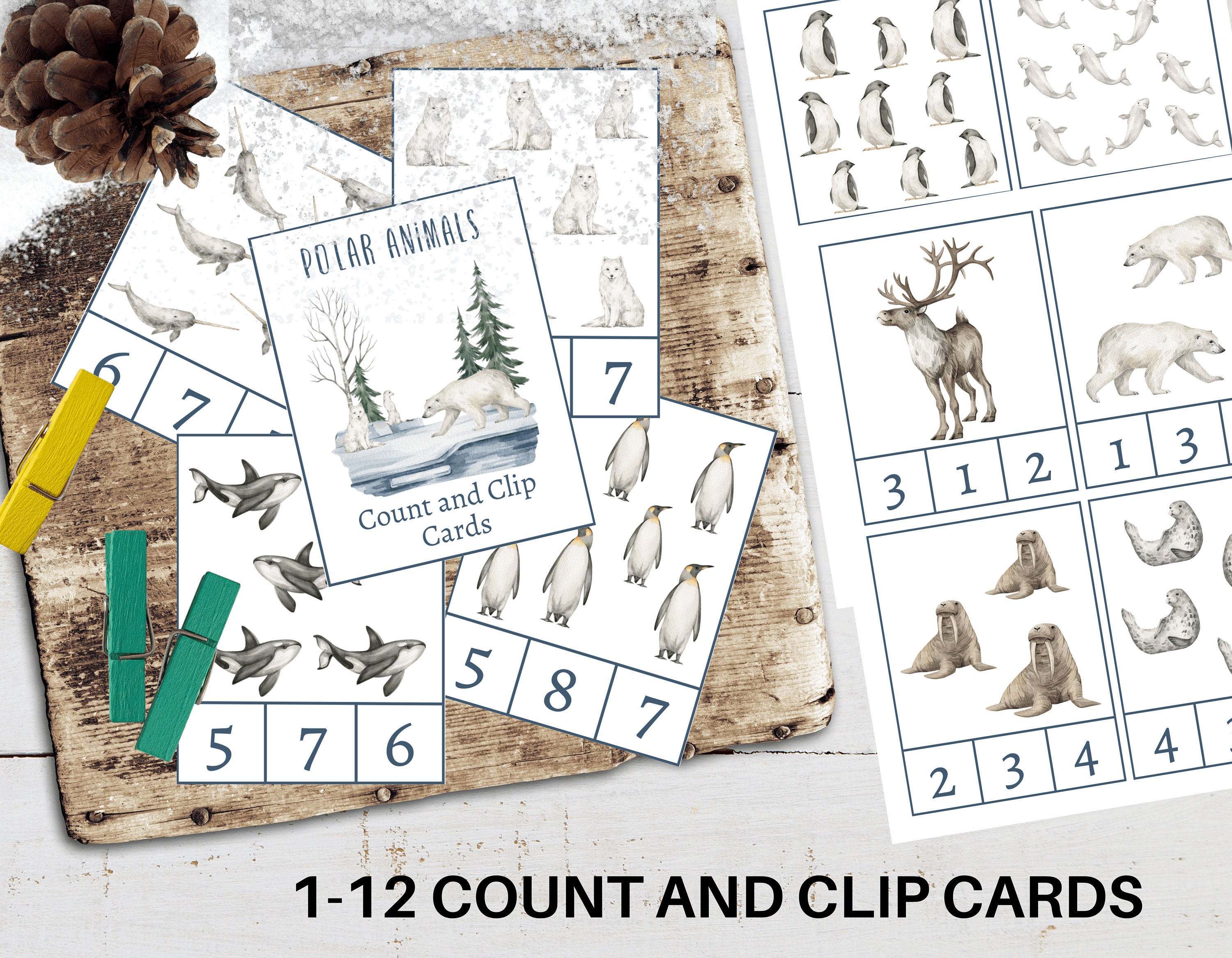 POLAR Animals Count and Clip Cards, 1 to 12 Counting, Arctic and ...