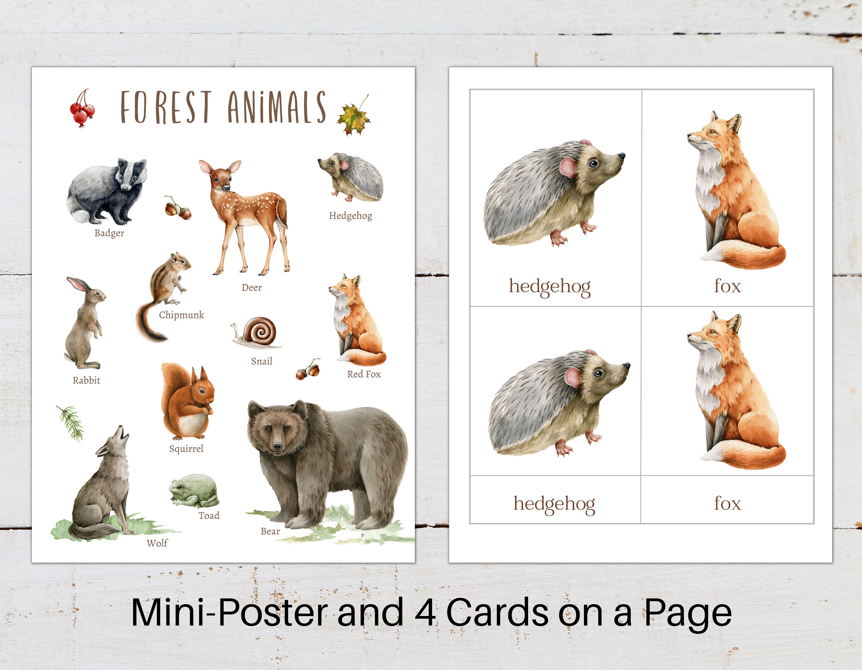 FOREST Animals Mini Poster + 3-part Cards, 11 Animals, Homeschool ...