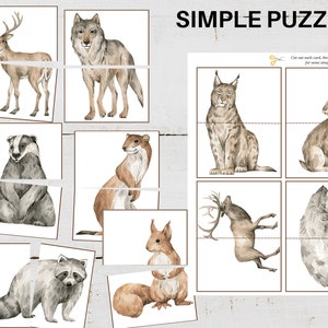 FOREST Animals Pre-k and K Activity Pack, Homeschool, Digital, INSTANT ...