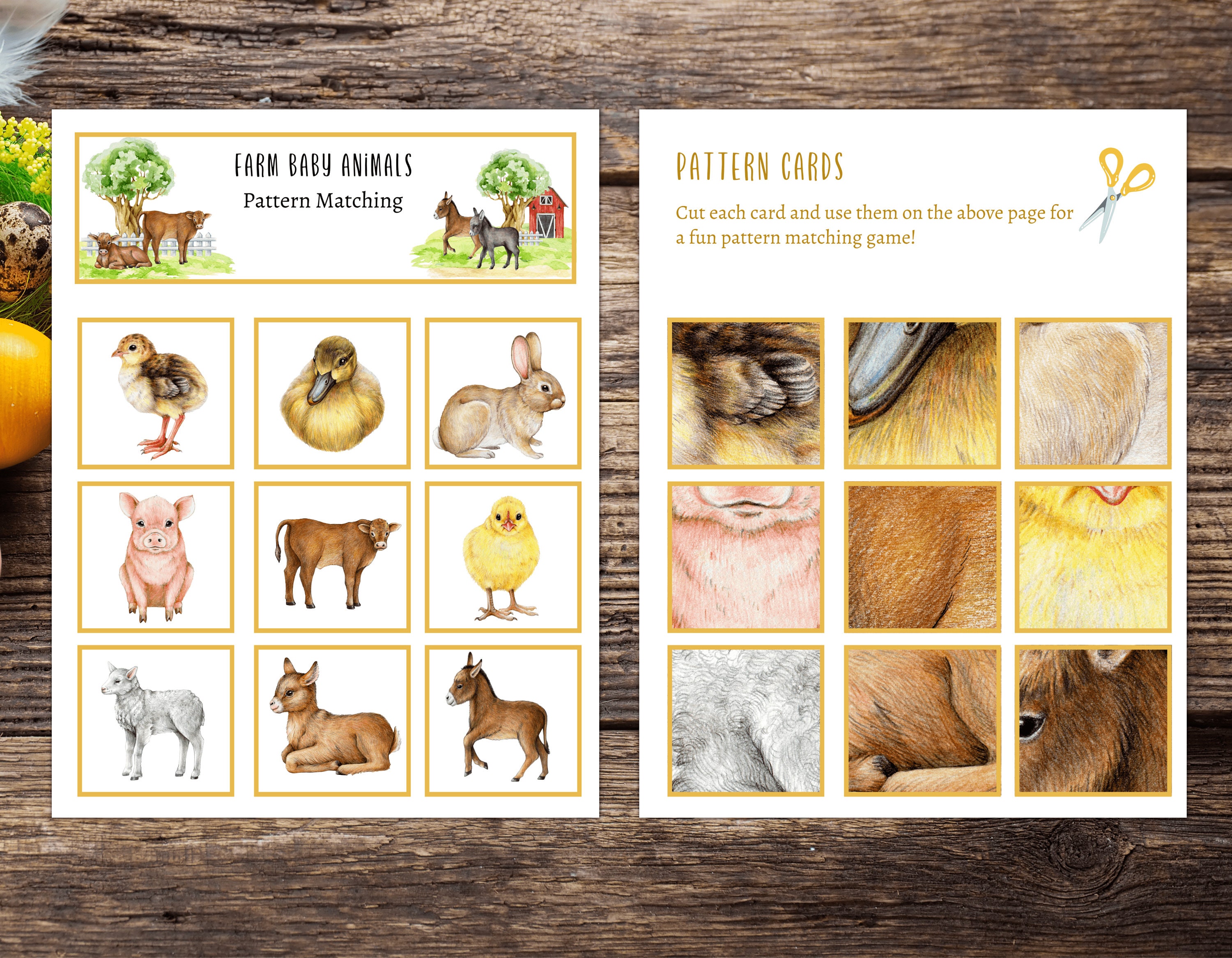 FARM Baby Animal Pattern Matching Cards, Montessori Farm, Nature Study ...