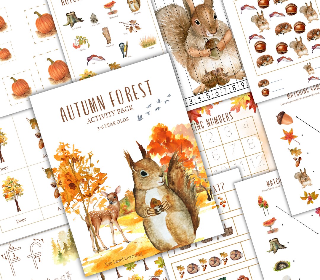 AUTUMN FOREST Pre-k and K Activity Pack, Homeschool, Digital, Instant ...