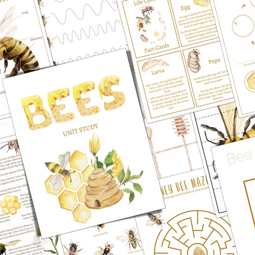 BEE Unit Study Life Cycle Anatomy Nature Study Science - Etsy Australia
