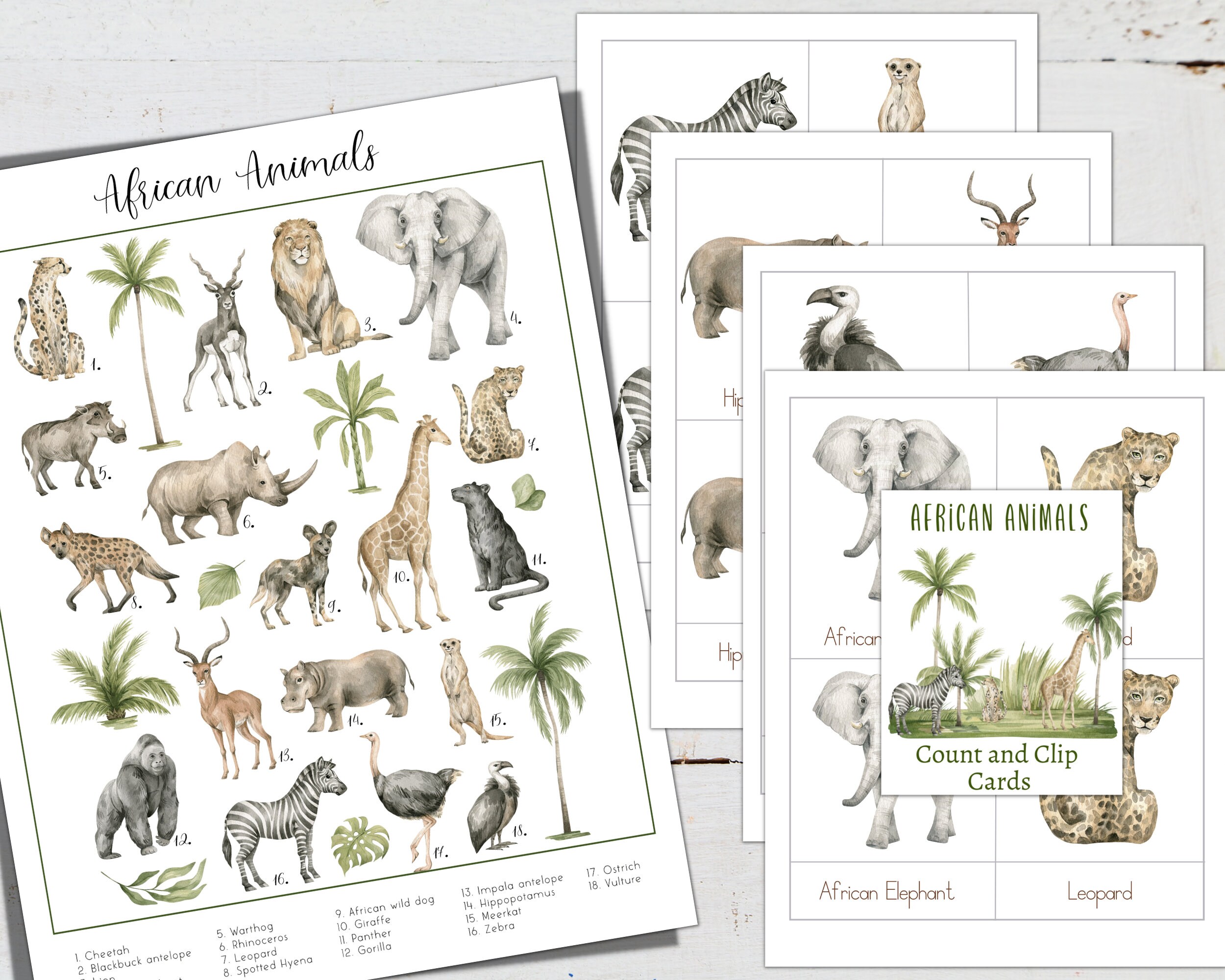 AFRICAN Animals Pre-k and K Activity Pack, Homeschool, Digital, INSTANT ...