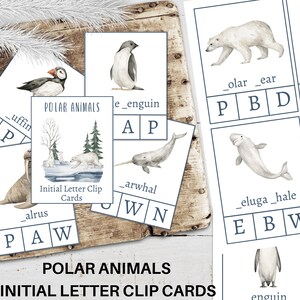 POLAR Animals Pre-k and K Activity Pack, Homeschool, Digital, INSTANT ...