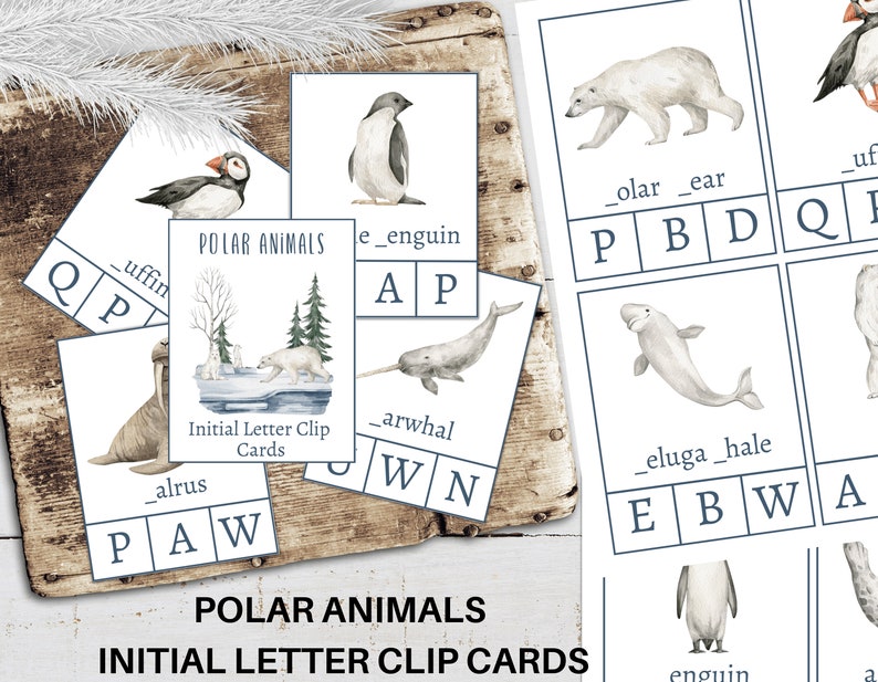 POLAR Animals Pre-k and K Activity Pack Homeschool Digital - Etsy