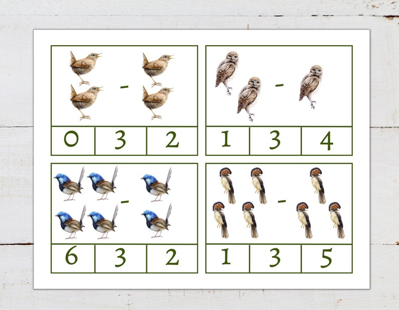 BIRDS Subtraction Clip Cards 1 to 10 Early Math Activity for - Etsy
