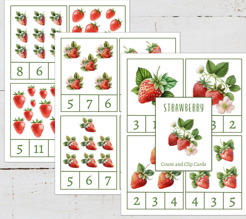 STRAWBERRY Unit Study Life Cycle Anatomy Nature Study - Etsy