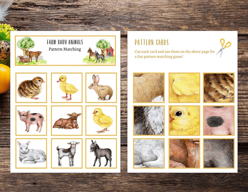 FARM Baby Animal Pattern Matching Cards, Montessori Farm, Nature Study ...